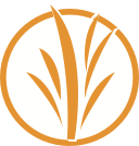 Shepherd's Pantry | Hope & A Helping Hand